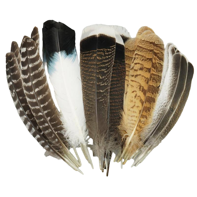 Symbolism of the feather. – Chu The Cud